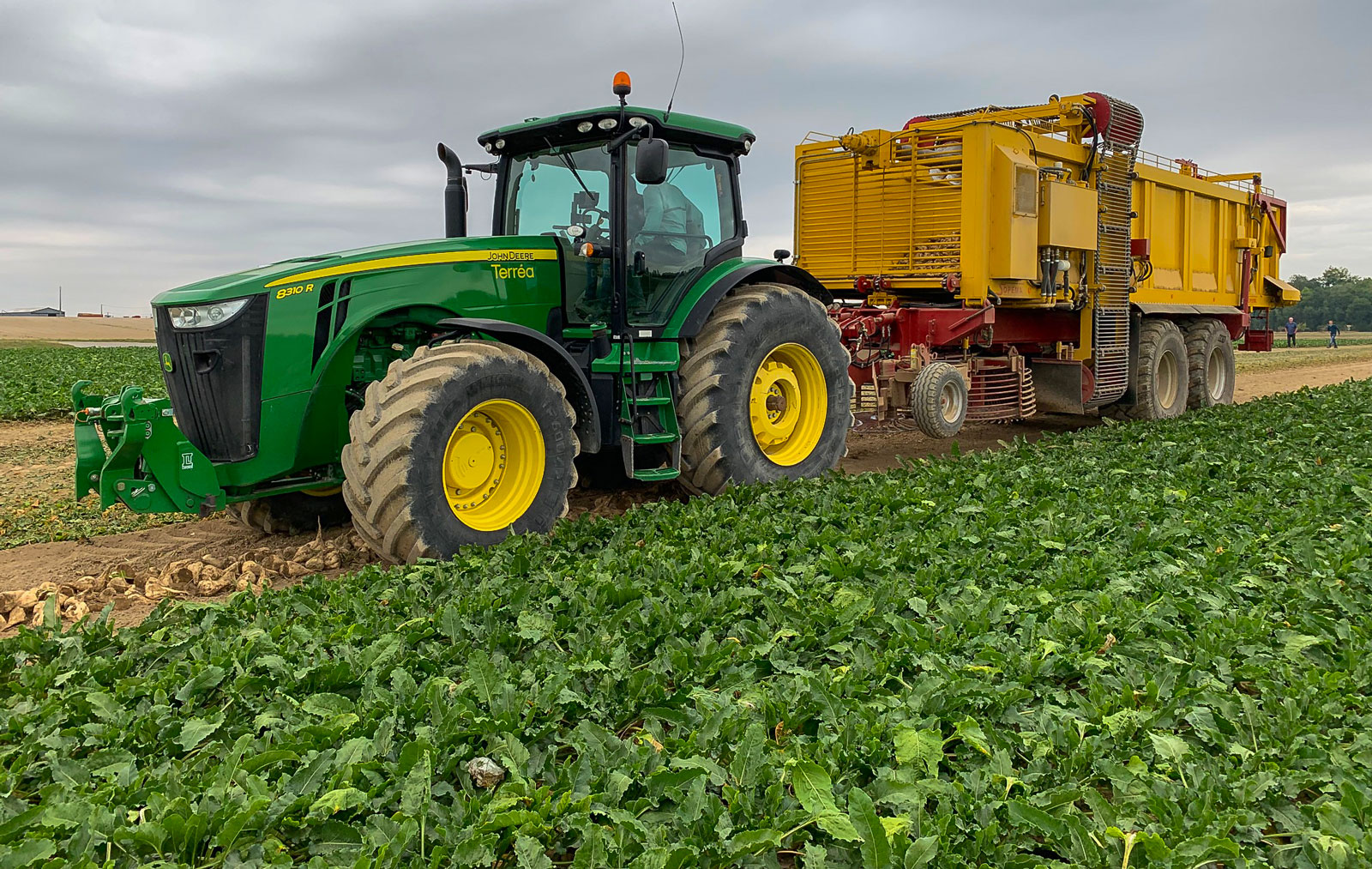 Remorque débardeuse DT 45 | Sopema